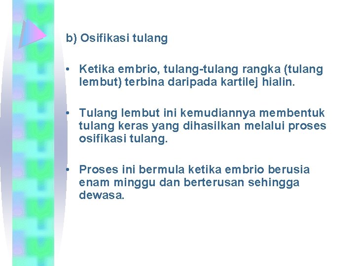 Komponen Sistem Rangka Sistem rangka merupakan sokongan dan