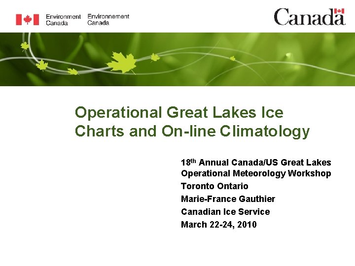Operational Great Lakes Ice Charts and Online Climatology