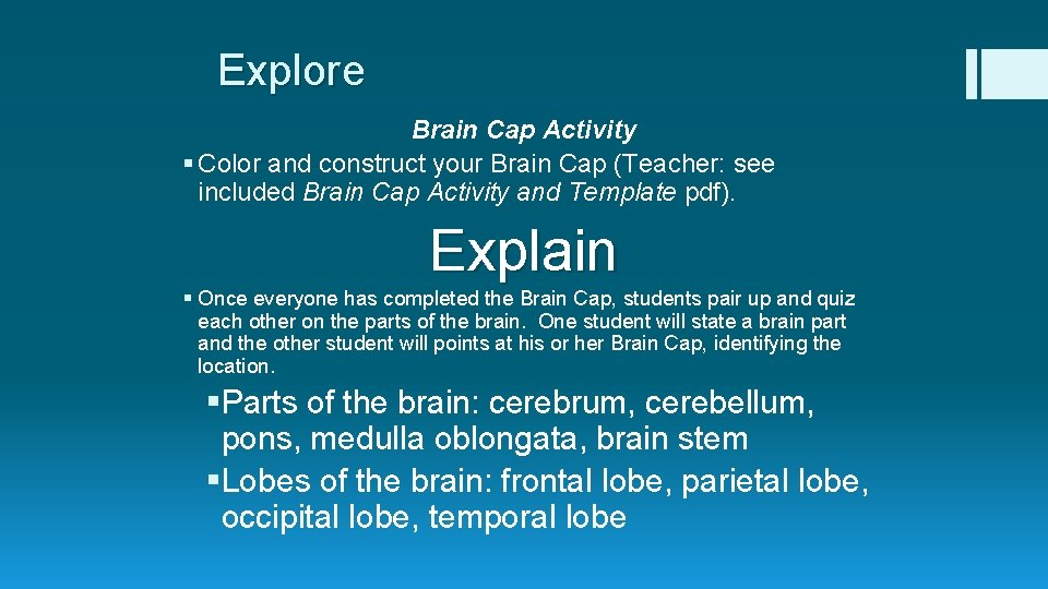 Brain Storm BIG IDEA Organization and Development of