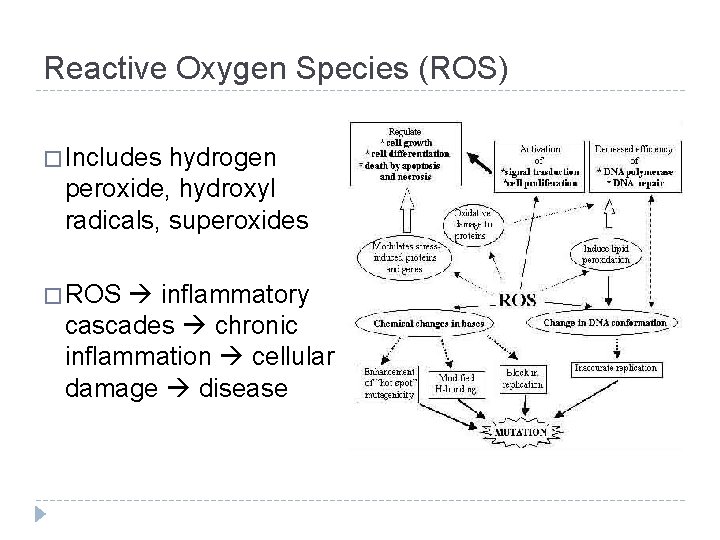 Correlations between DTT Activity and PM Constituents Wing