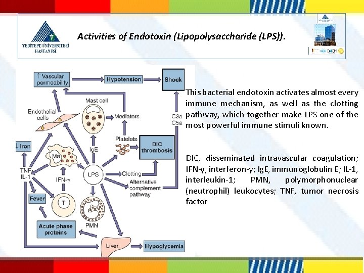Bacterial Pathogenesis Learning Objectives Define the basic concepts
