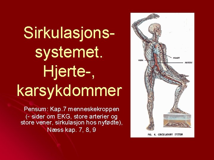 Sirkulasjonssystemet Hjerte karsykdommer Pensum Kap 7 menneskekroppen sider