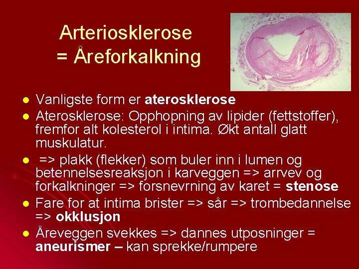Sirkulasjonssystemet Hjerte karsykdommer Pensum Kap 7 menneskekroppen sider