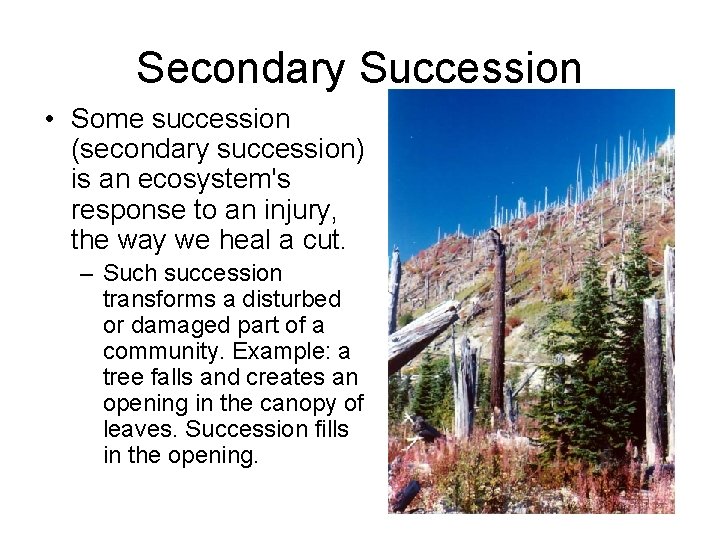 3 3 Succession How Ecosystems Change over Time