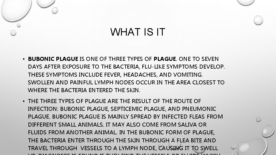 THE BUBONIC PLAGUE BY MOLLY WHAT IS IT