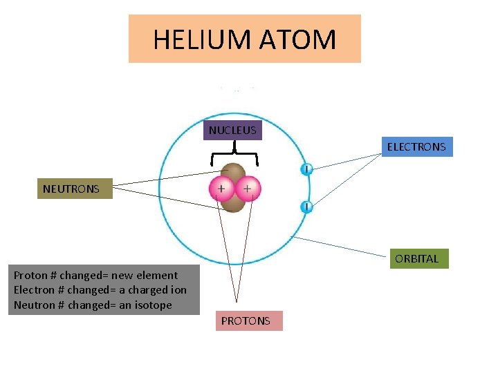 Chemistry Review ELEMENTS OF LIVING MATTER OXYGEN CARBON
