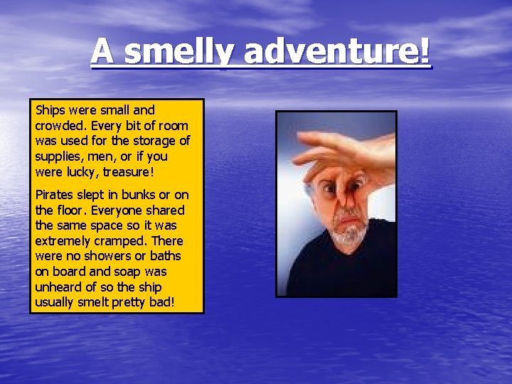 Life aboard a pirate ship A smelly adventure