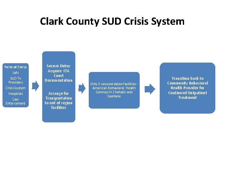 Overview of Clark County Behavioral Health System Access