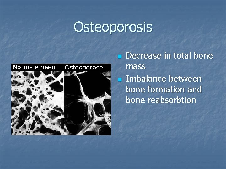 Skeletal System Chapter 8 Functions of the Skeletal