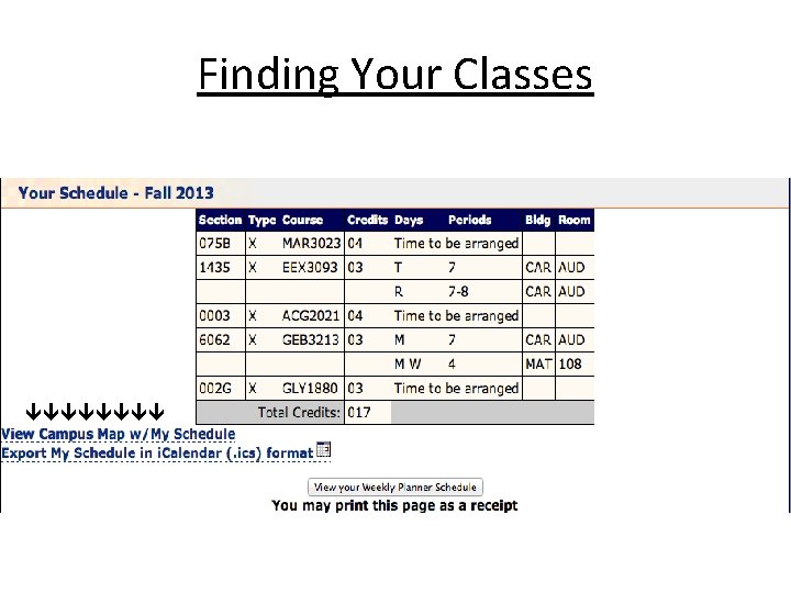 How To Be a Successful Student The University
