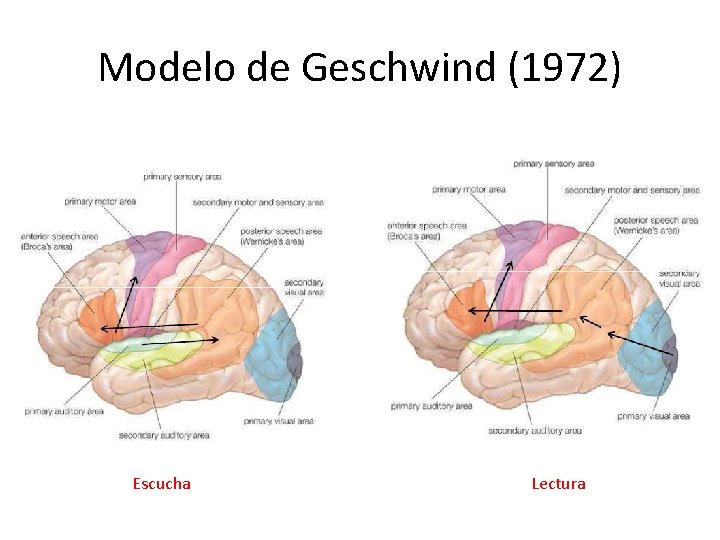 COMUNICACIN HUMANA Concepto Utilizacin simblica de un sistema