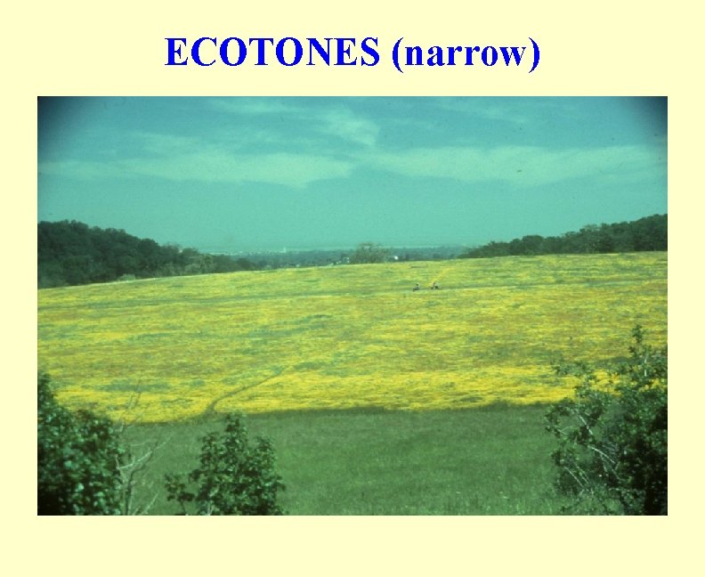 BIOLOGY 157 LIFE SCIENCE AN ENVIRONMENTAL APPROACH Communities
