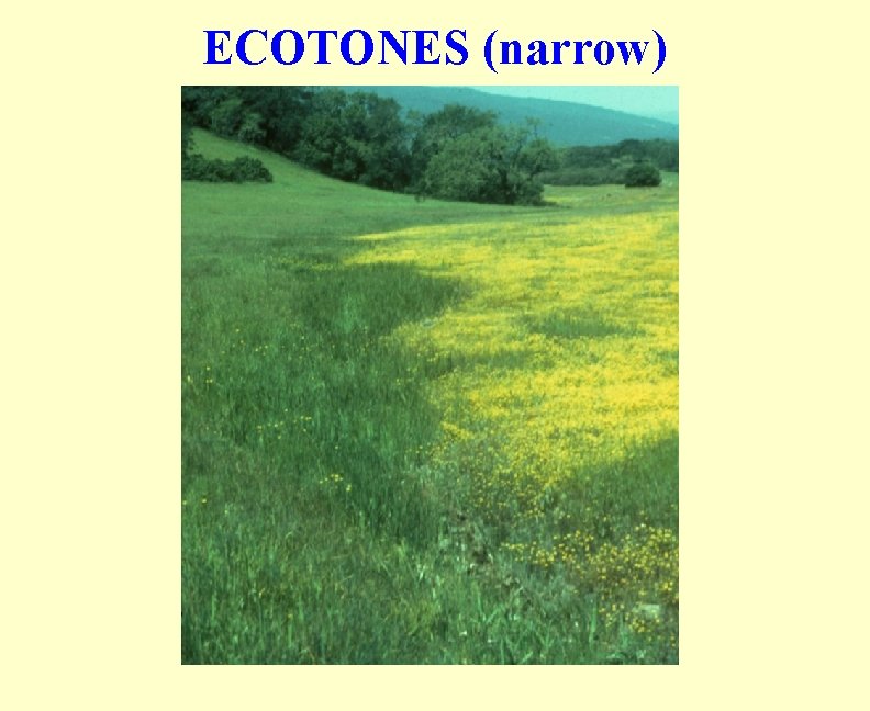 BIOLOGY 157 LIFE SCIENCE AN ENVIRONMENTAL APPROACH Communities