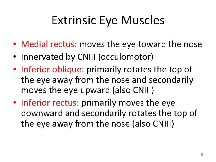 Eye and Vision Exercise 26 BI 232 External
