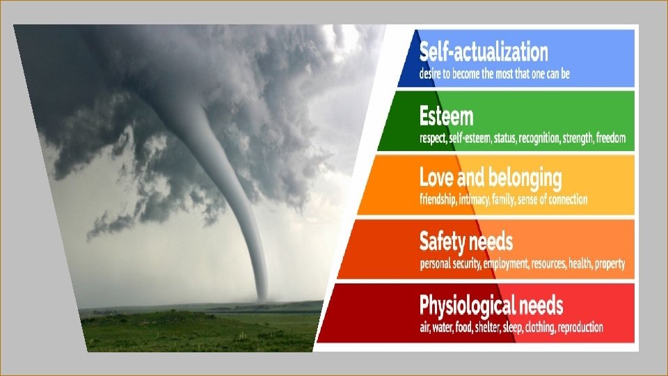 CARING FOR THE CARERS A model of wellbeing