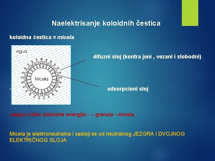 KOLOIDNI SISTEMI SVUDA OKO NAS Koloidni sistemi ine
