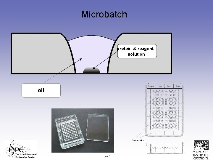 ORYX Microbatch Screening Ran Meged 1 Microbatch protein