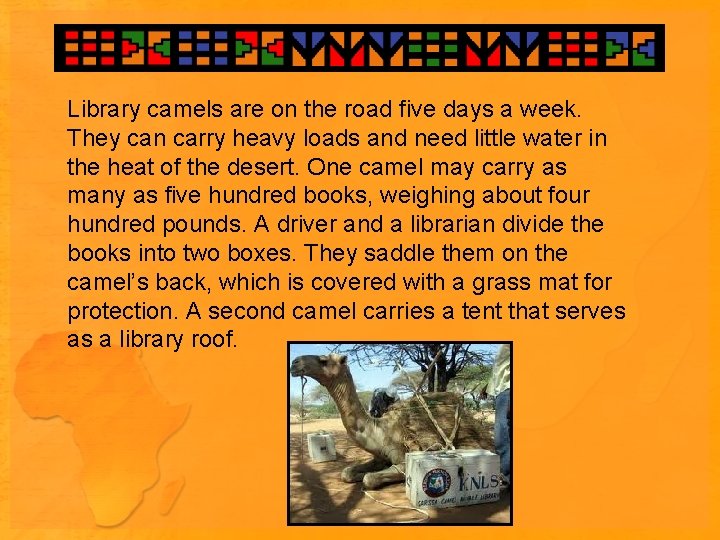 A Library on Four Legs The worlds only