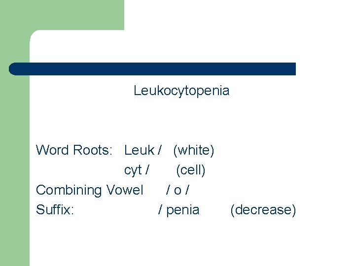 Medical Terminology Basic Elements of a Medical Word