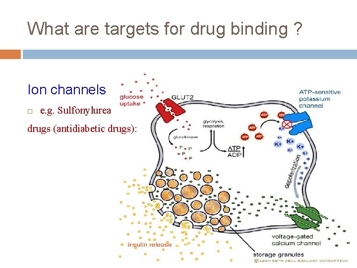 PHARMACODYNAMICS I MECHANISMS OF DRUG ACTION Ali Alhoshani