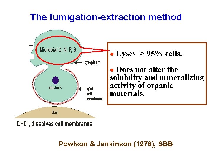 Dynamics in the Microbial Transformation of Organic C