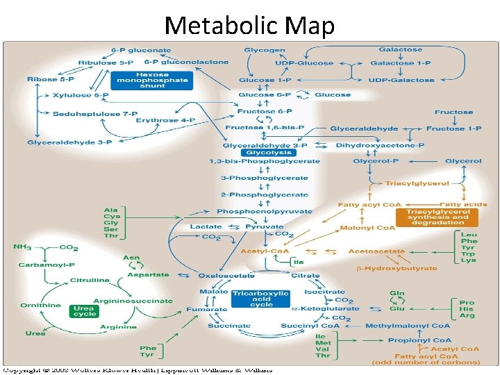 CHY 2026 General Biochemistry UNIT 7 8 CARBOHYDRATE
