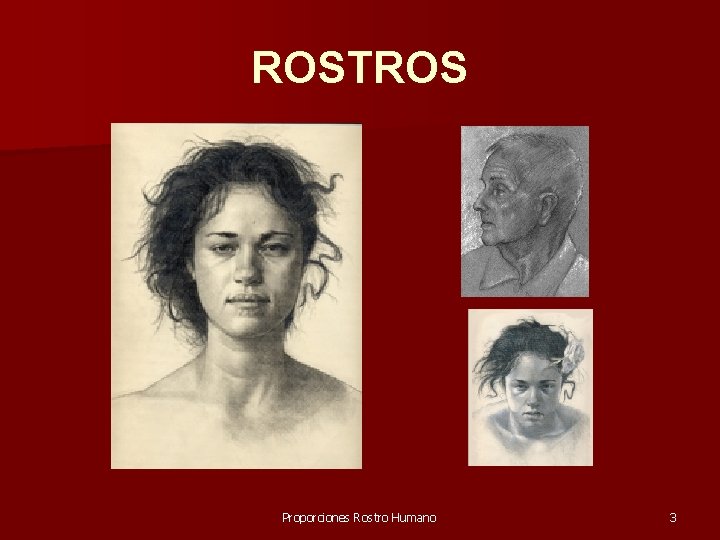 PROPORCIONES DEL ROSTRO HUMANO Prof Bernardita Astorga S