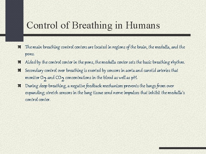 The Respiratory System By Olga Pavlenko Ray Peniera