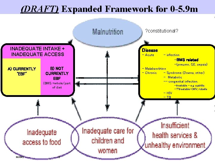 A conceptual framework for Project MAMI Management of