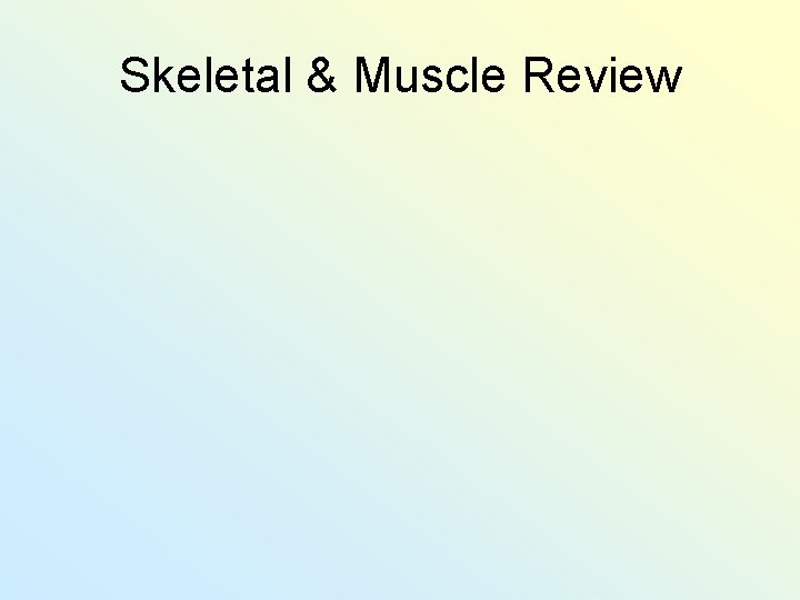 Skeletal Muscle Review 1 Name the 4 axial