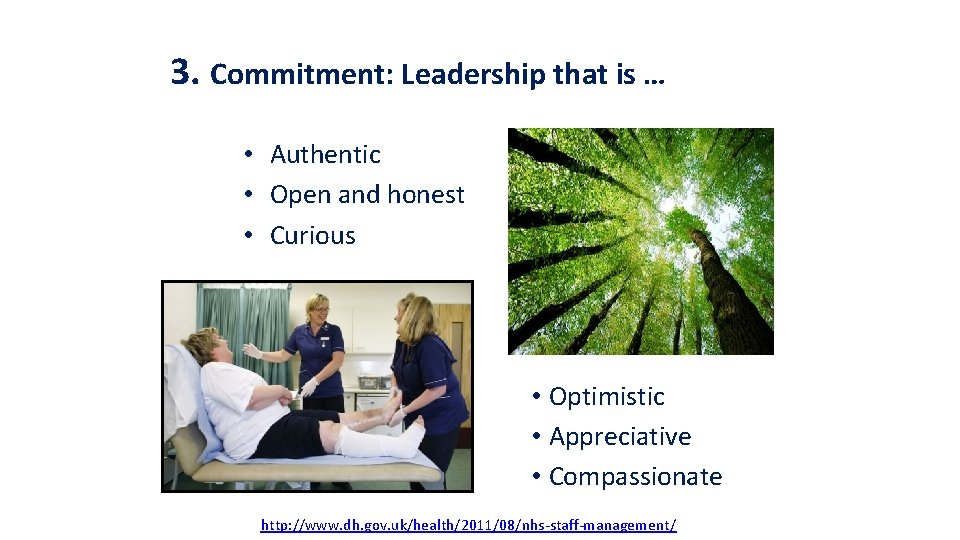 Leadership for Cultures of High Quality Compassionate Care
