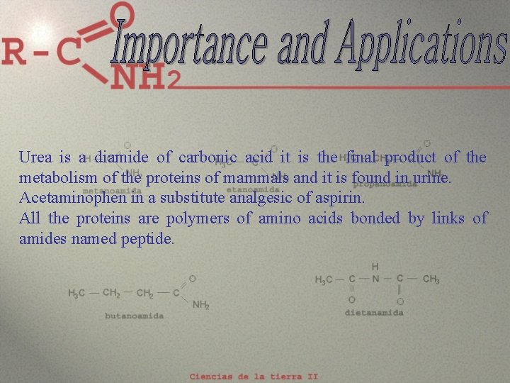 Session 40 Amides derive from the carboxylic acids