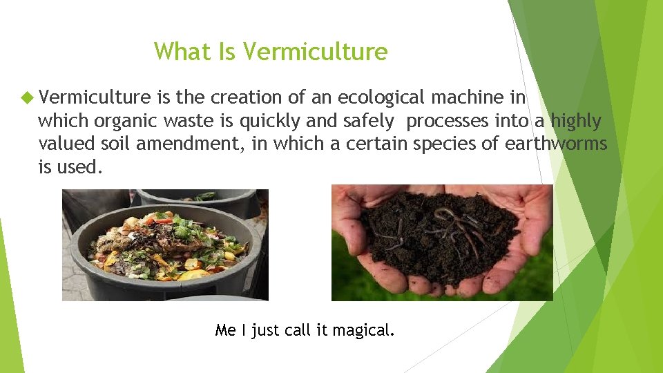 Vermiculture 101 Worm Poop The Real Black Gold