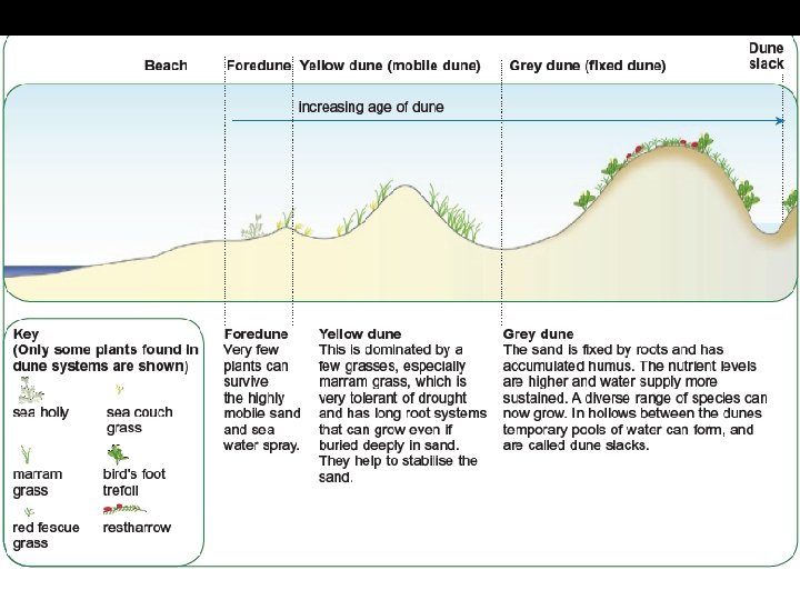 Ecosystems and Sustainability Unit 1 Communication Homeostasis and