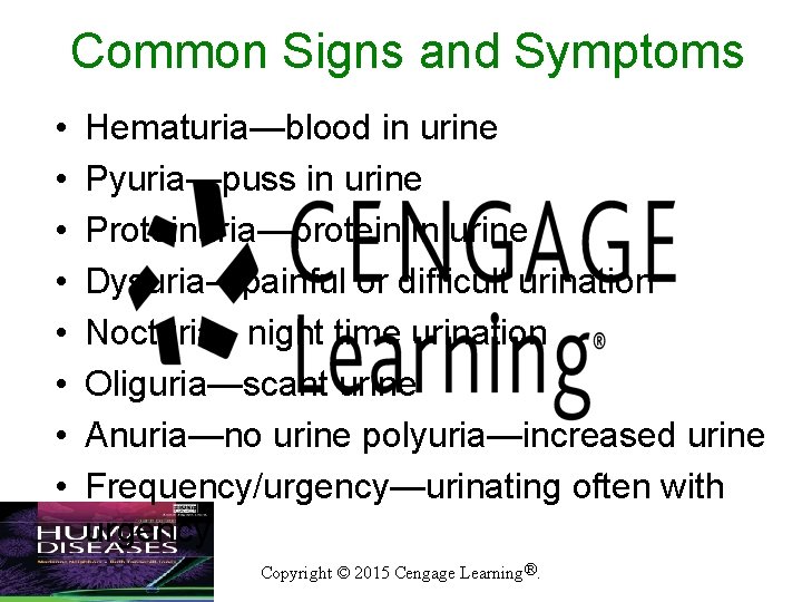 Chapter 13 Urinary System Diseases and Disorders Copyright