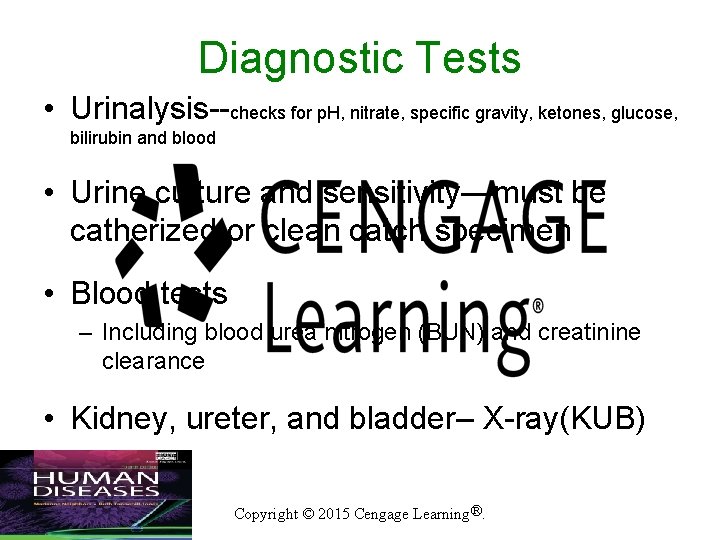 Chapter 13 Urinary System Diseases and Disorders Copyright