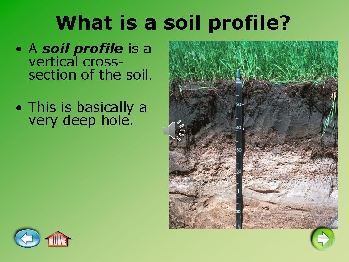 Horticulture Science Explaining a Soil Profile Instruction Help