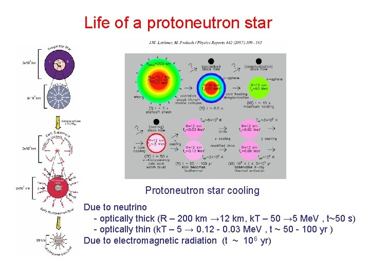 Spectra of the accreting neutron stars boundary layers