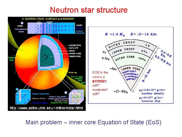 Spectra of the accreting neutron stars boundary layers