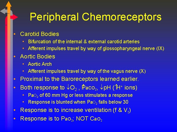 Module J Control of Ventilation Chapter 11 Beachey