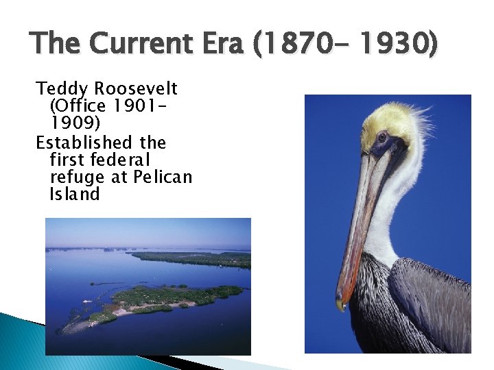Environmental History of the US Four Major Eras