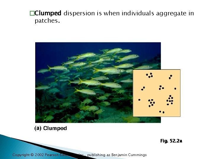 Population All members of 1 species within defined