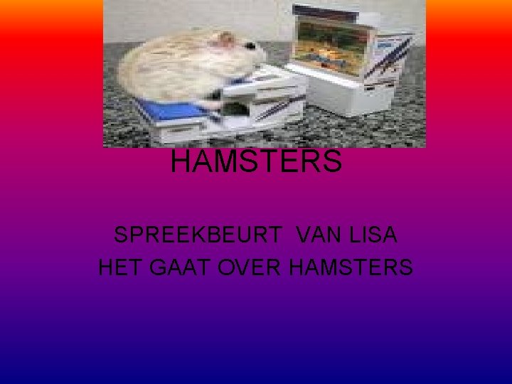 HAMSTERS SPREEKBEURT VAN LISA HET GAAT OVER HAMSTERS