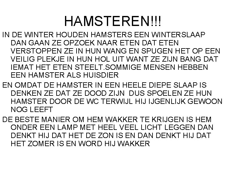 HAMSTERS SPREEKBEURT VAN LISA HET GAAT OVER HAMSTERS