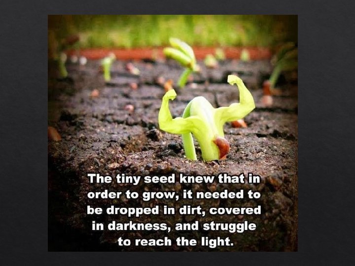 Growing Deep Devotions Growing Oneself Building Self Awareness