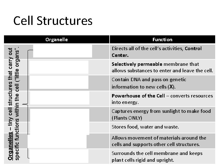 The Cell Theory and Cell Structures The Cell