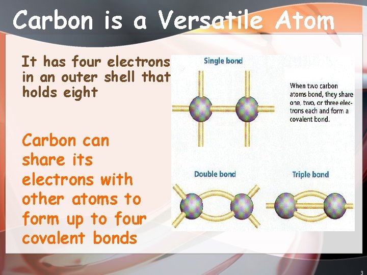 Biochemistry of Cells 1 Carbonbased Molecules Although a