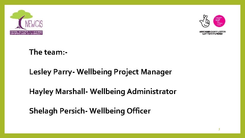 Carers Wellbeing Project 2017 1 2 Project summary