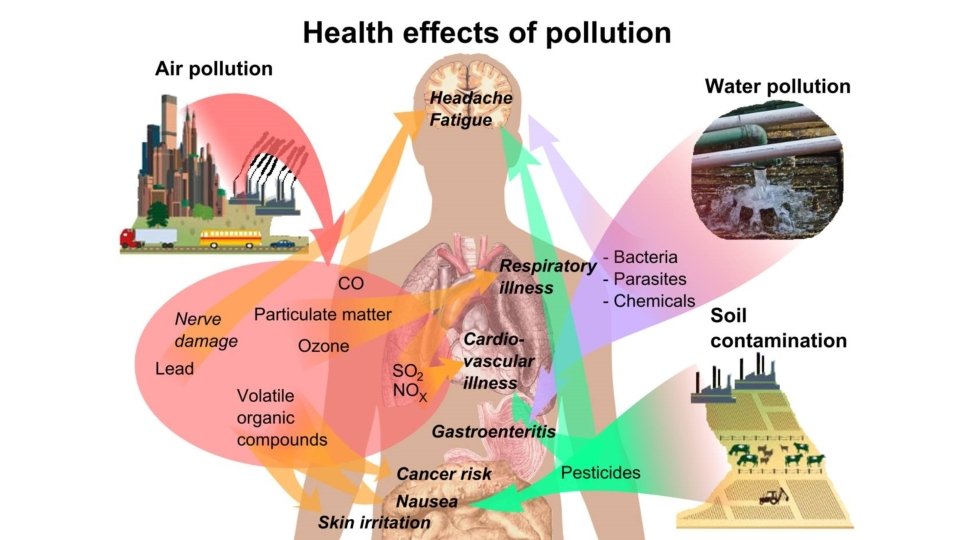 What is pollution When Harmful Substances Contaminate the