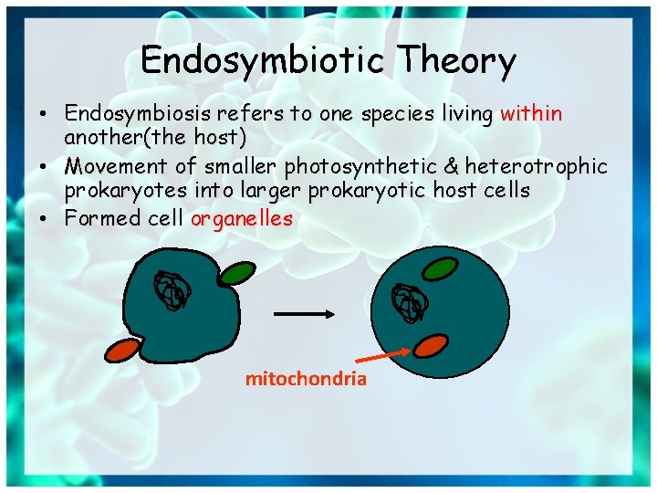 Chapter 18 Overview of Bacteria Cellular Evolution Current